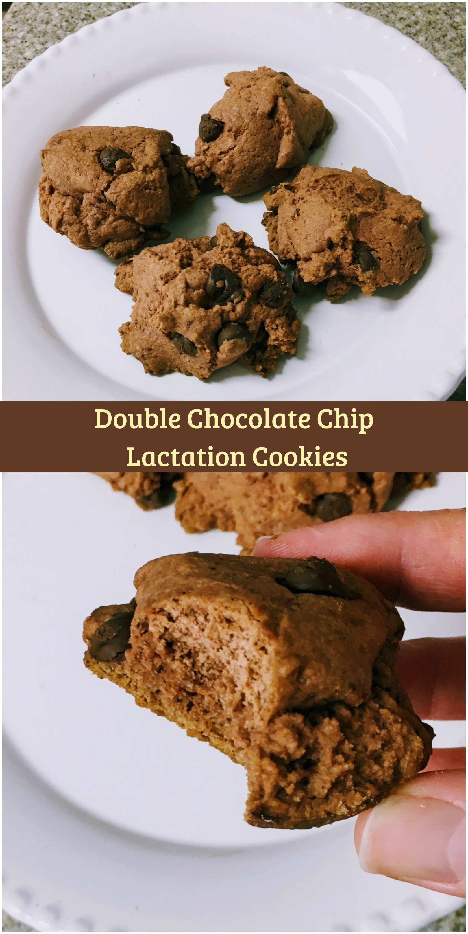 Double Chocolate Chip Lactation Cookies - Eclectic Grape