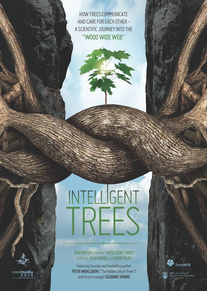 Nº 66 - Intelligent Trees Documentary film review - Eco123