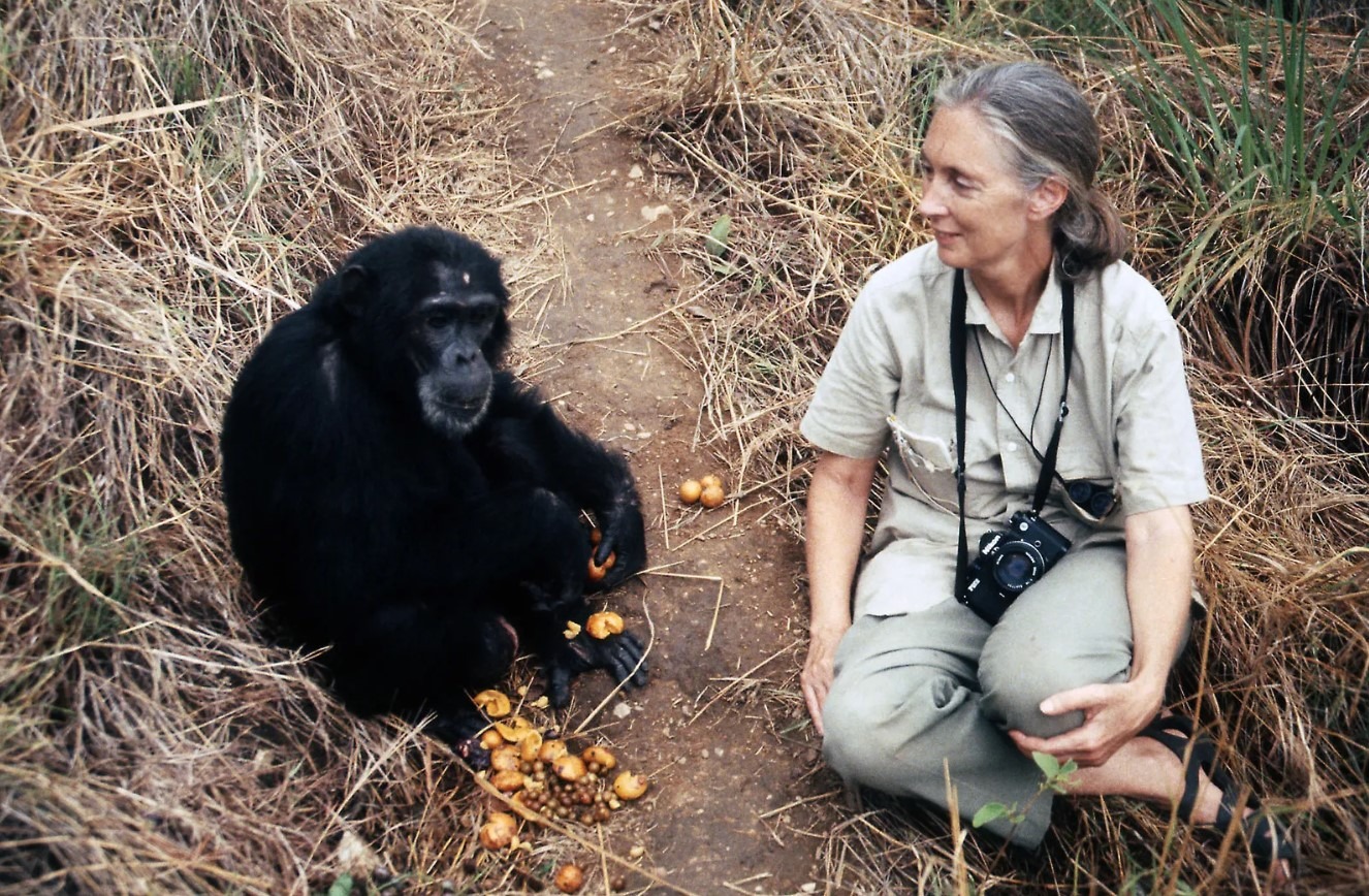 Famous Environmental Activists - Top 10