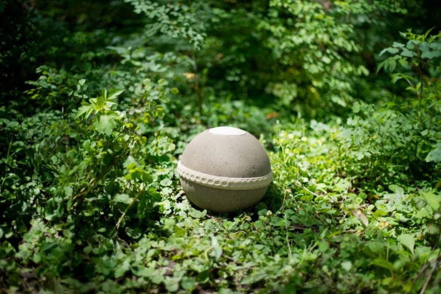 Bosque eterno, el cementerio en México que convierte las cenizas en árboles