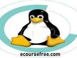 Learn Linux Essentials For Devops Data Scientist Development Free