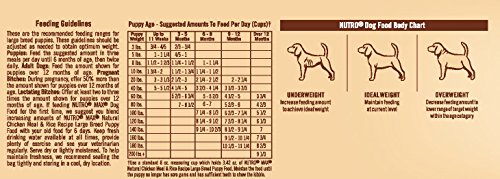 NUTRO MAX Large Breed Puppy Natural Chicken Meal and Rice Recipe 30 ...