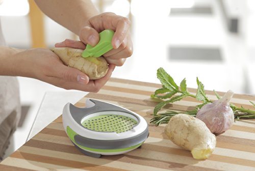 KitchenIQ 50484 Ginger Grater Tool | Spice Grinder | all things spice
