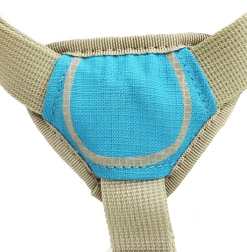 Cesar Millan Dog Backpack (Medium) | The Puppy | Dog food, costumes and ...