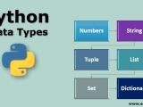 Tipos De Datos En Python 6 Tipos De Datos Estándar En Python Datapeaker