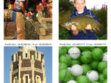 Simple Image Classification Using Fastai Jl Analytics Vidhya