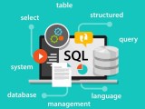 Introduction To Sql For Data Engineering Analytics Vidhya