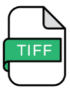 What File Format Should I Use For My NFT? - Mintable Editorial
