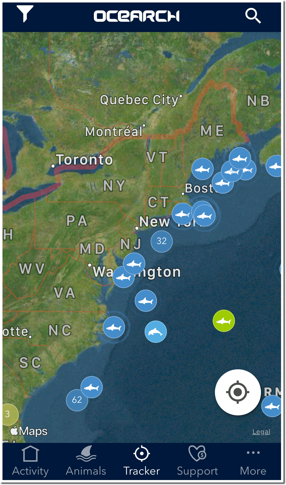 4 Great Sites and Apps for Shark Week