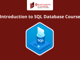 Introduction To Sql Database Course In Karachi Usa Dubai Uganda Uk Canada