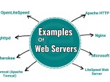 10 Examples Of Web Servers