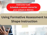 Instructor Supported Using Formative Assessment To Shape Instruction
