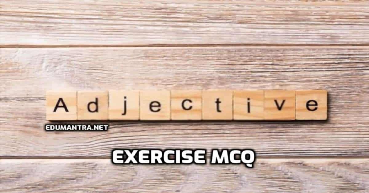 Adjective Exercise MCQ | Very Important
