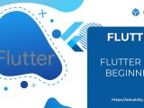 Flutter For Beginners Eduskilly