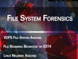 File System Forensics Eforensics