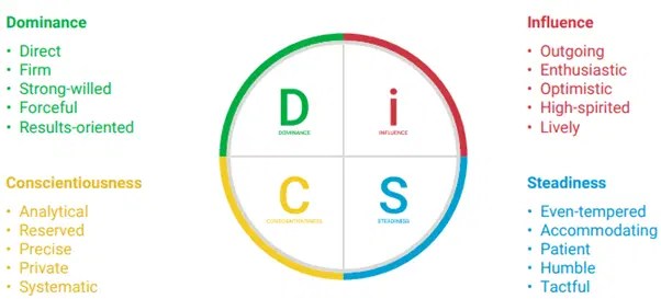 Disc Styles I Style Personalities Discprofiles4u