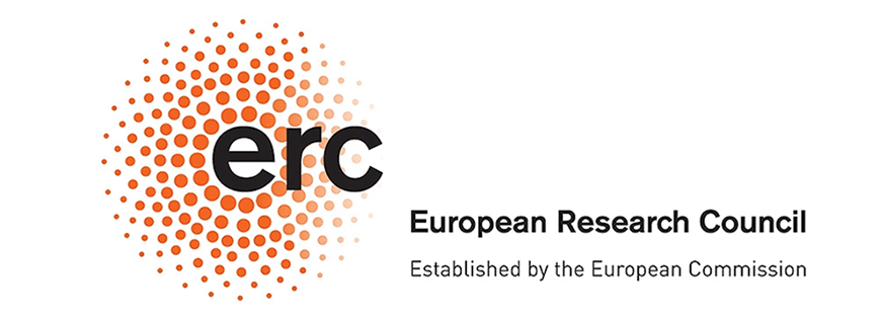 ERC Starting Grant on predicting depression onset » Eiko Fried