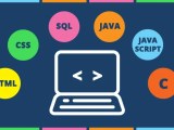 Work In Technological Sector Without Coding Knowledge