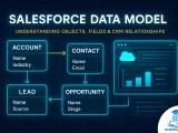 Master Salesforce Data Model Tutorial For Beginners To Advanced 2025