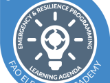 Course Developing A Learning Agenda To Support Emergency And