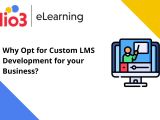Why Opt For Custom Lms Development For Your Business
