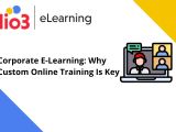 Corporate E Learning Why Custom Online Training Is Key
