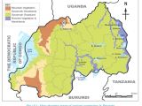 Course Geography And Environment Reb