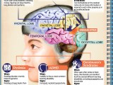 Learning Disabilities Infographic E Learning Infographics