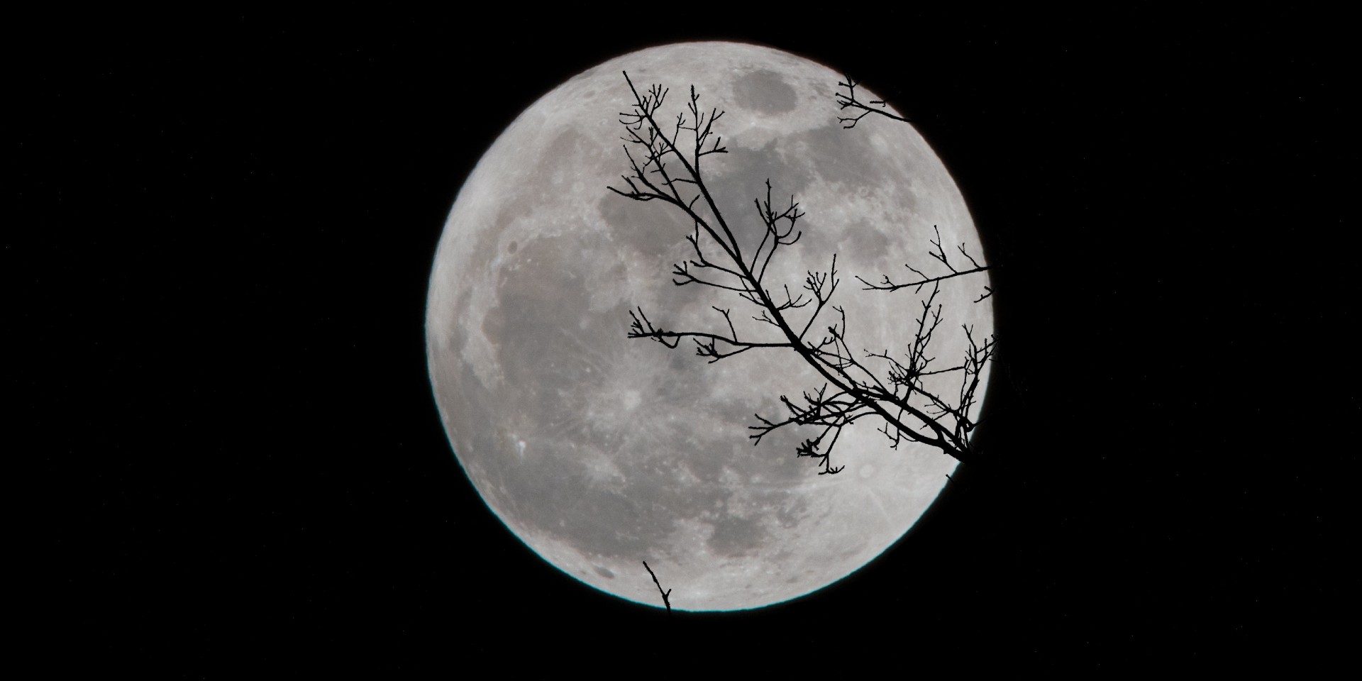 Why a Texas congressman asked the Forest Service to move the moon to ...
