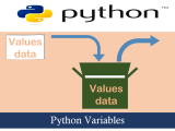 Variables In Python