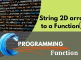 C Programming Passing A String 2d Array To A Function