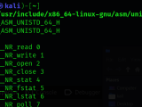 Linux Syscalls In Assembly Electronics Reference
