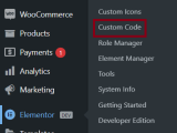 Add Custom Code Elementor