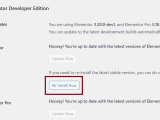 Roll Back To Prior Releases With Developer Edition Plugin Elementor
