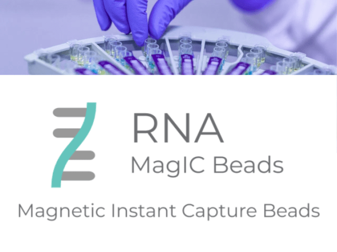 Custom target DNA Seq MagIC Beads - ElementZero Biolabs