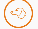 Elijah Gummer Full Stack Developer