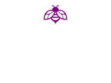 Elixir Technologies Web Design Iot Automation Apiarist Expertise