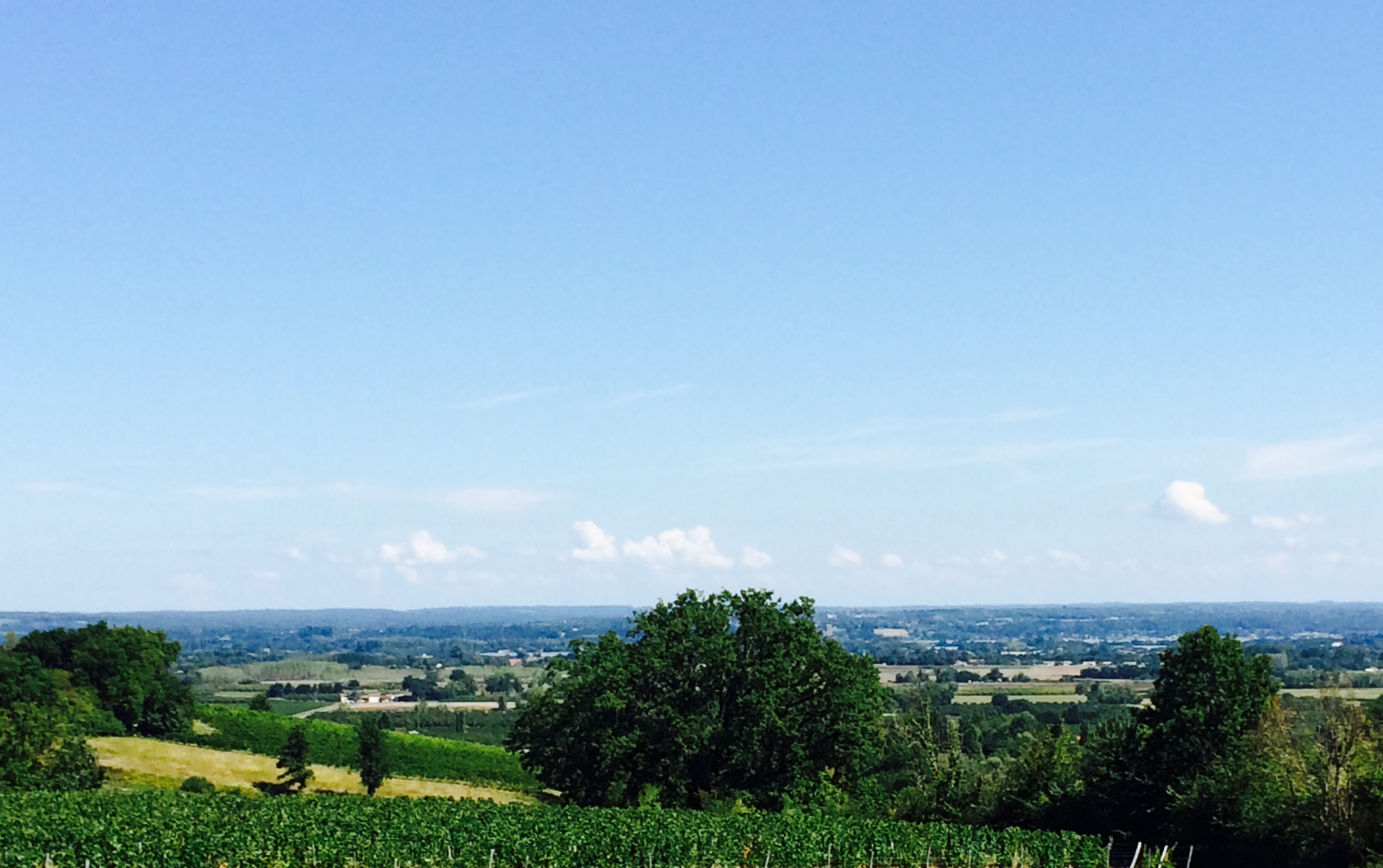 Bergerac Wine Region: A time of roses and wine | elizabethsvines