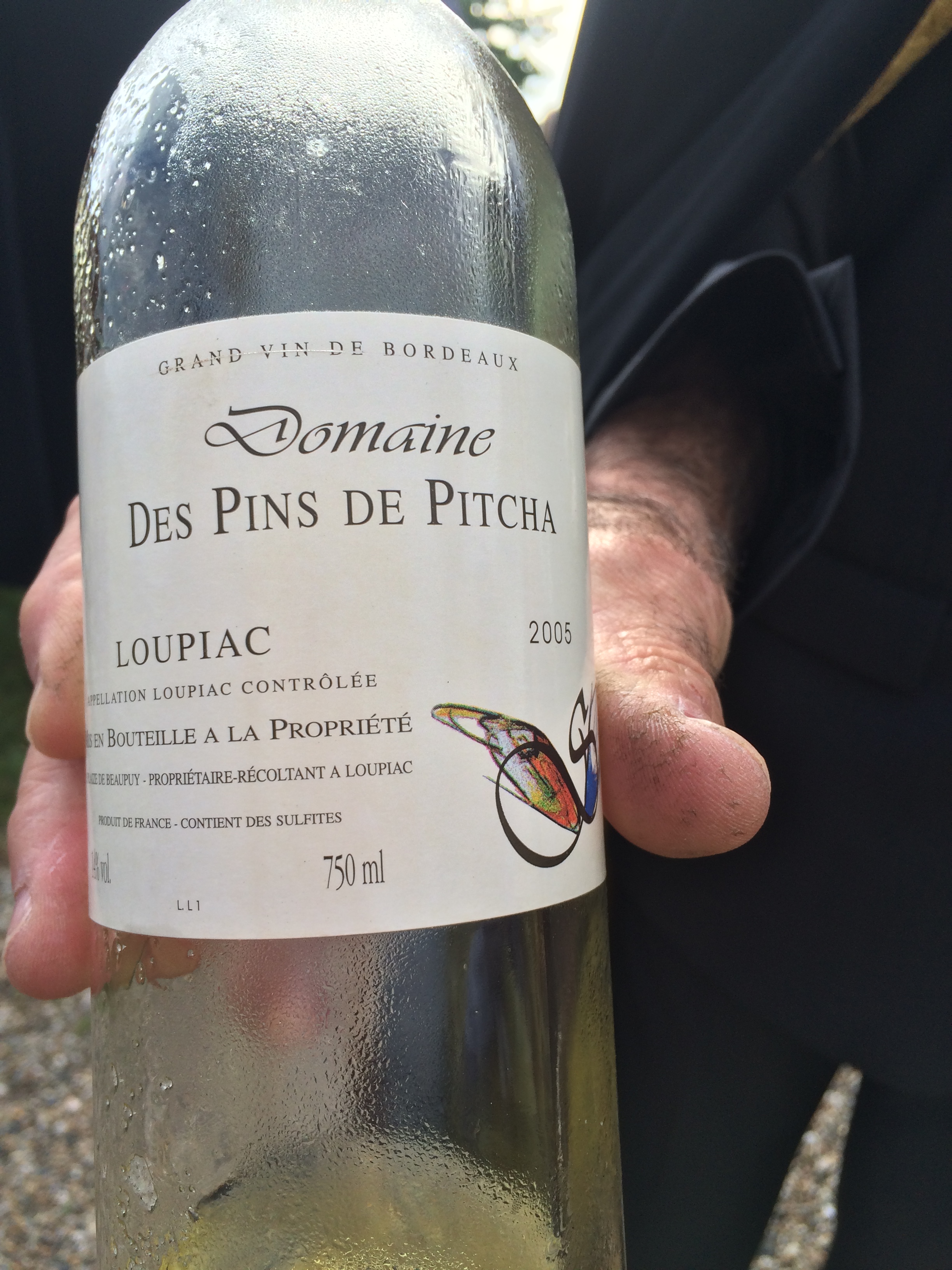 Bordeaux wine region: Loupiac AC : a hidden gem | elizabethsvines