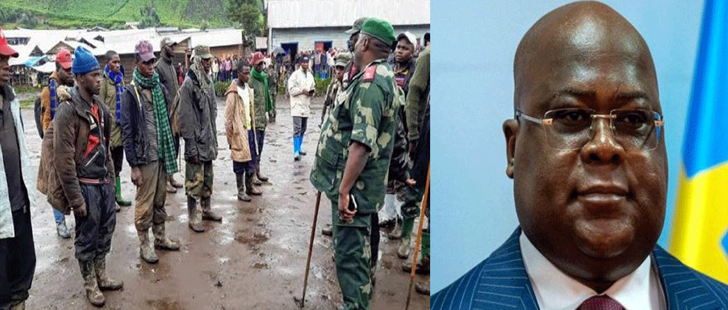 FDLR: Tshisekedi’s bargaining chip and political tool – Ellen Kampire