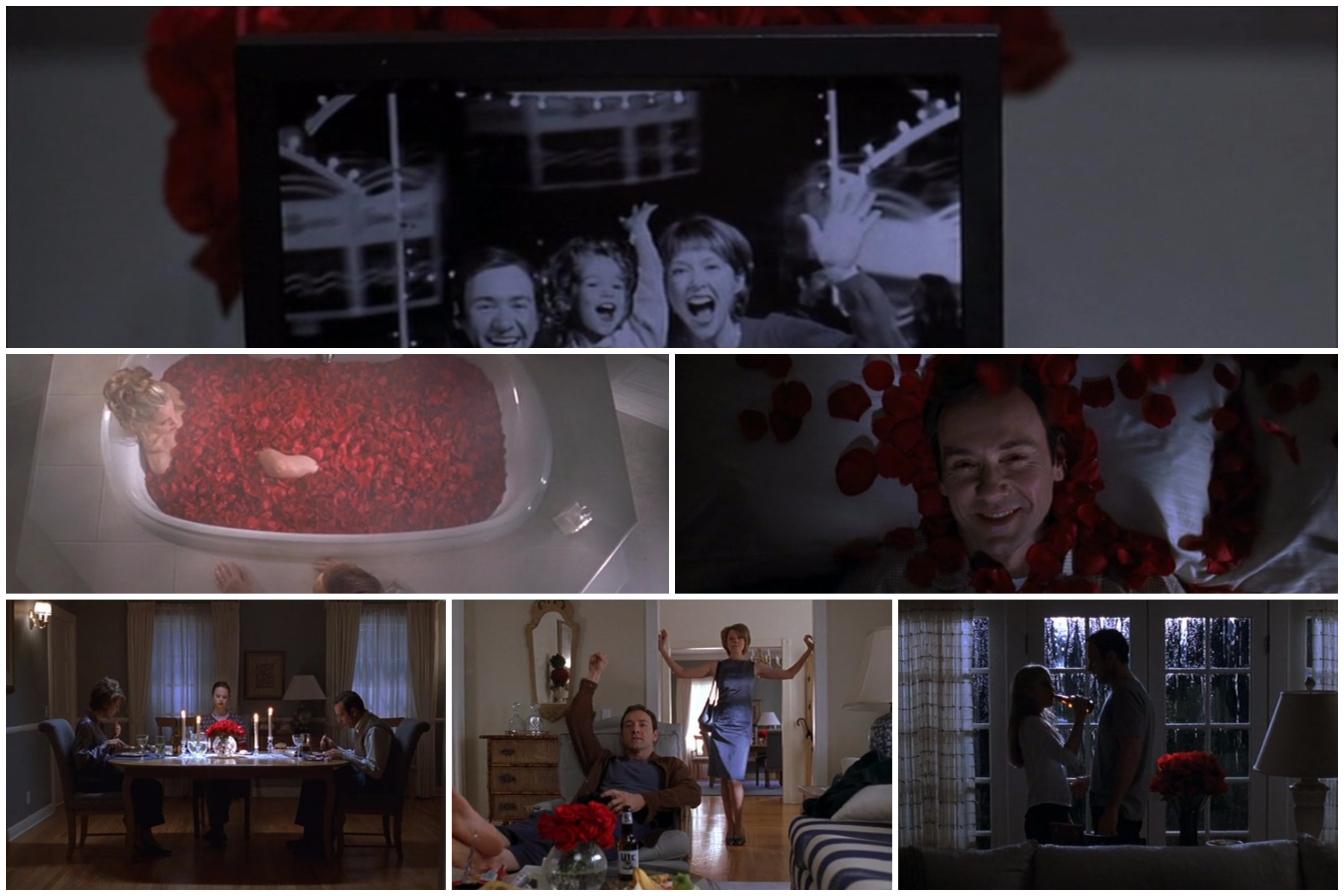 The Shots of American Beauty – Eloquent Gushing