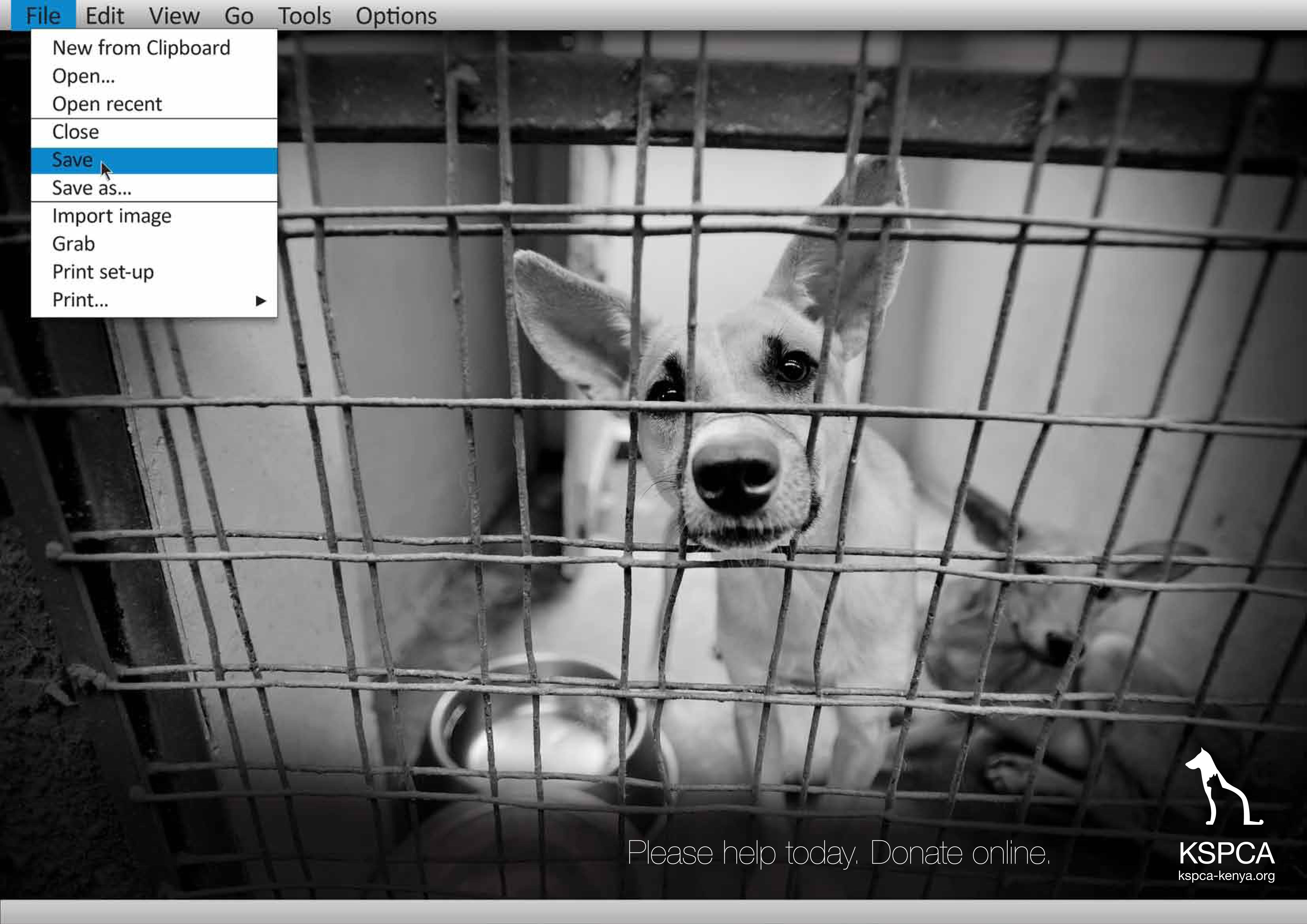 El Desktop en la Publicidad
