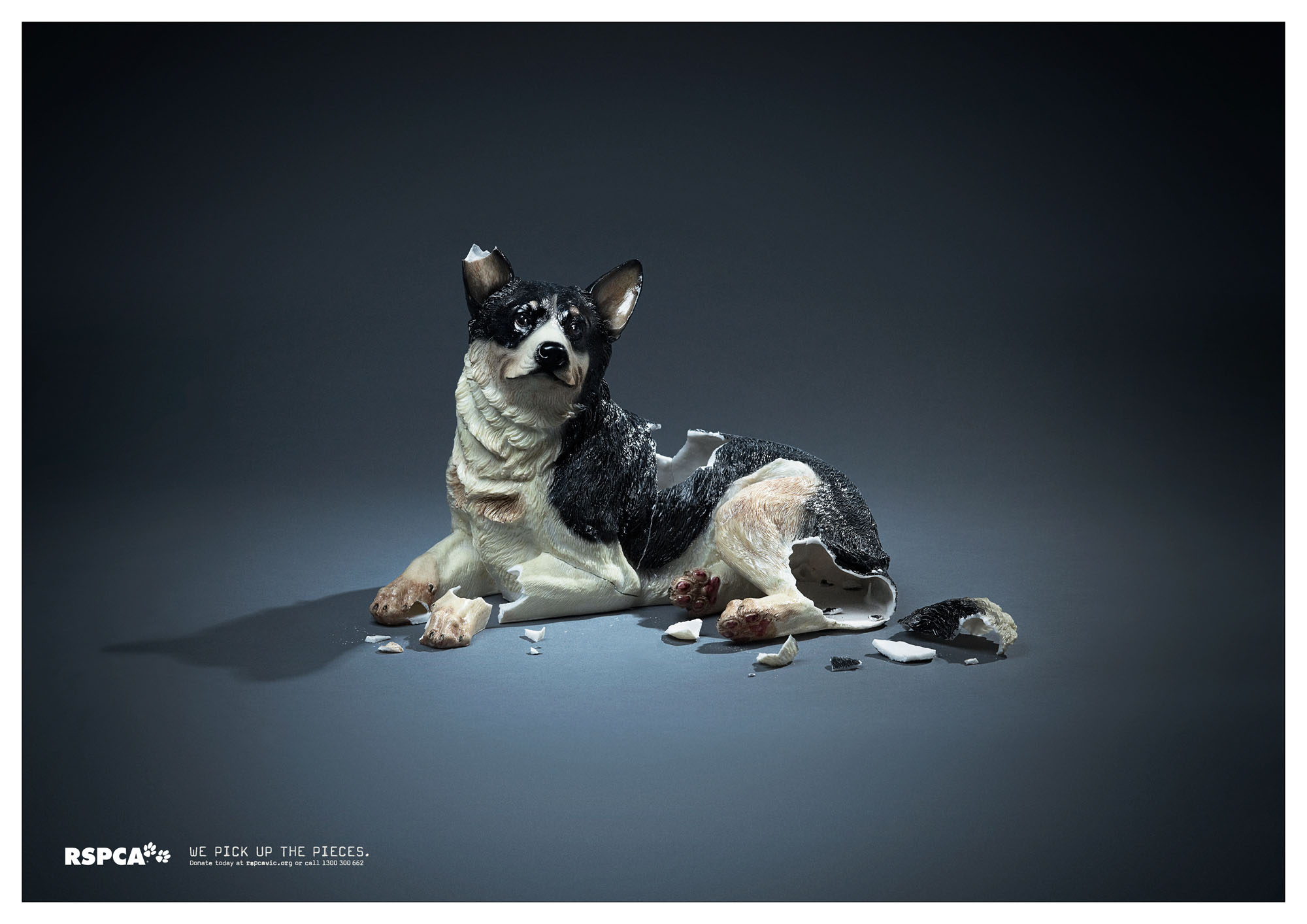 RSPCA Victoria: Recogemos las piezas