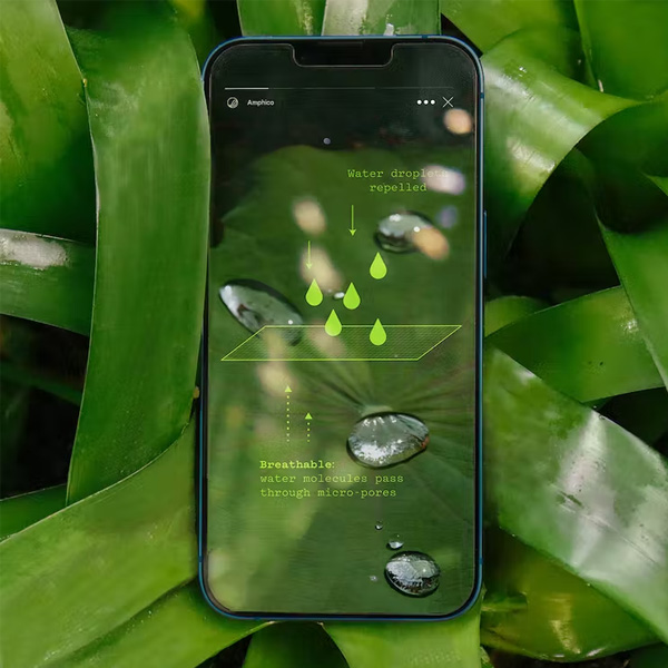 Identidad Amphico empresa de materiales circulares y bioinspirados para ...