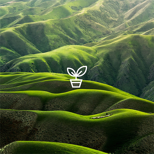 Identidad Amphico empresa de materiales circulares y bioinspirados para ...