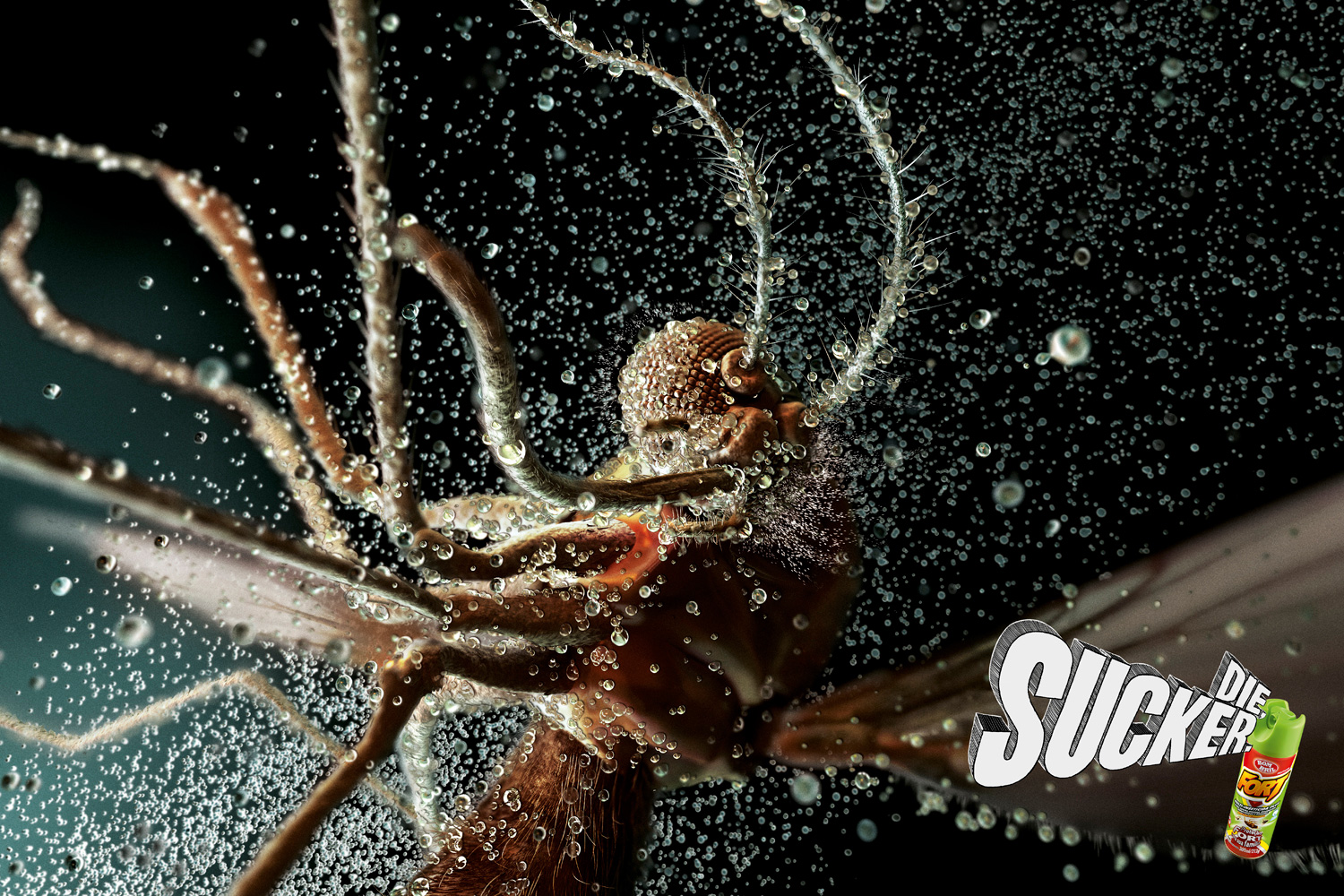 Fort: muerte de insectos