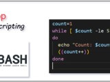 Master Loop In Shell Script For While And Until Beginner S Guide 2026