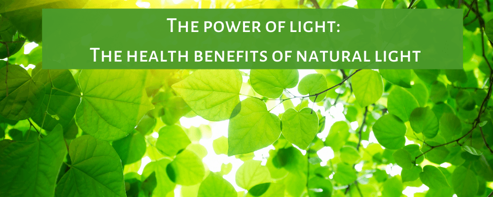 The power of light: The health benefits of natural light - Embrace Life ...