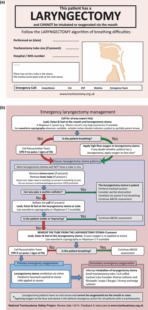 EMCrit 195 - Management of Tracheostomy (Trach) and Laryngectomy ...